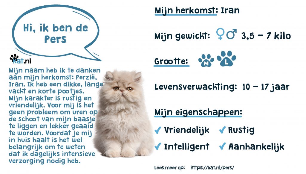 De Pers: Een Bijzondere Kat Met Een Gebruiksaanwijzing - Kat.nl