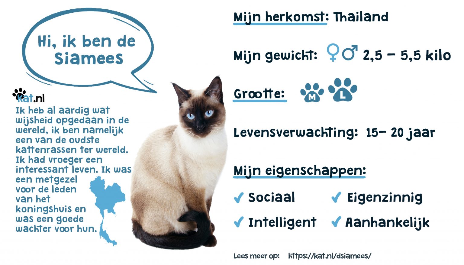 Siamese Katten: Intelligent, Eigenzinnig En Nieuwsgierig - Kat.nl
